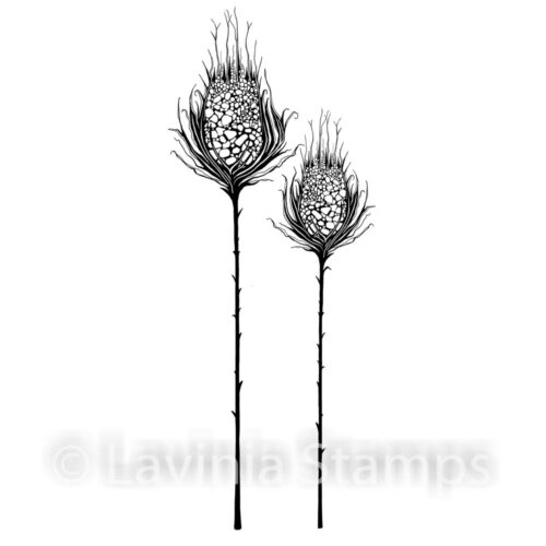 Star Burst Set Stamp - Lavinia Stamps