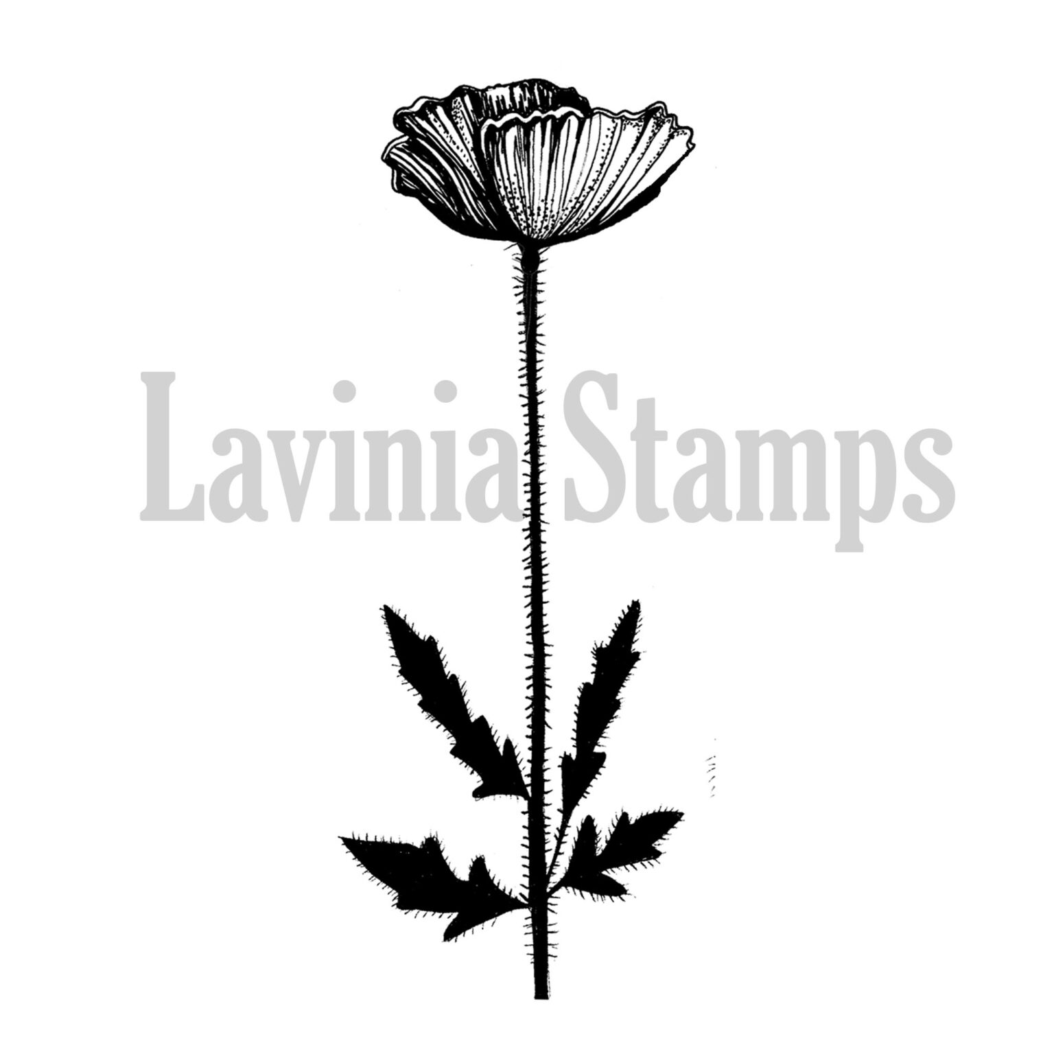 Craft Store Lavinia Stamps
