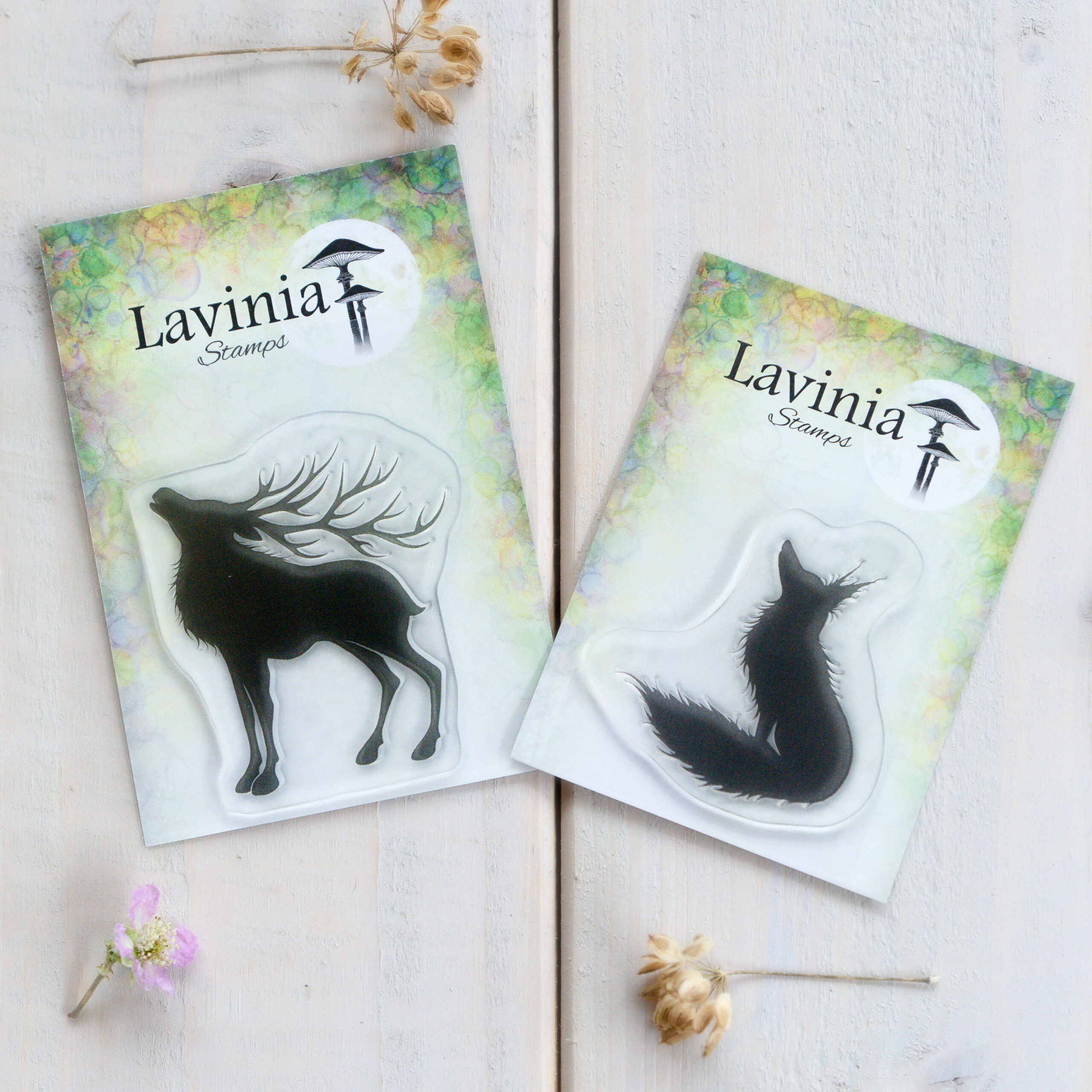 Creatures – Lavinia Stamps