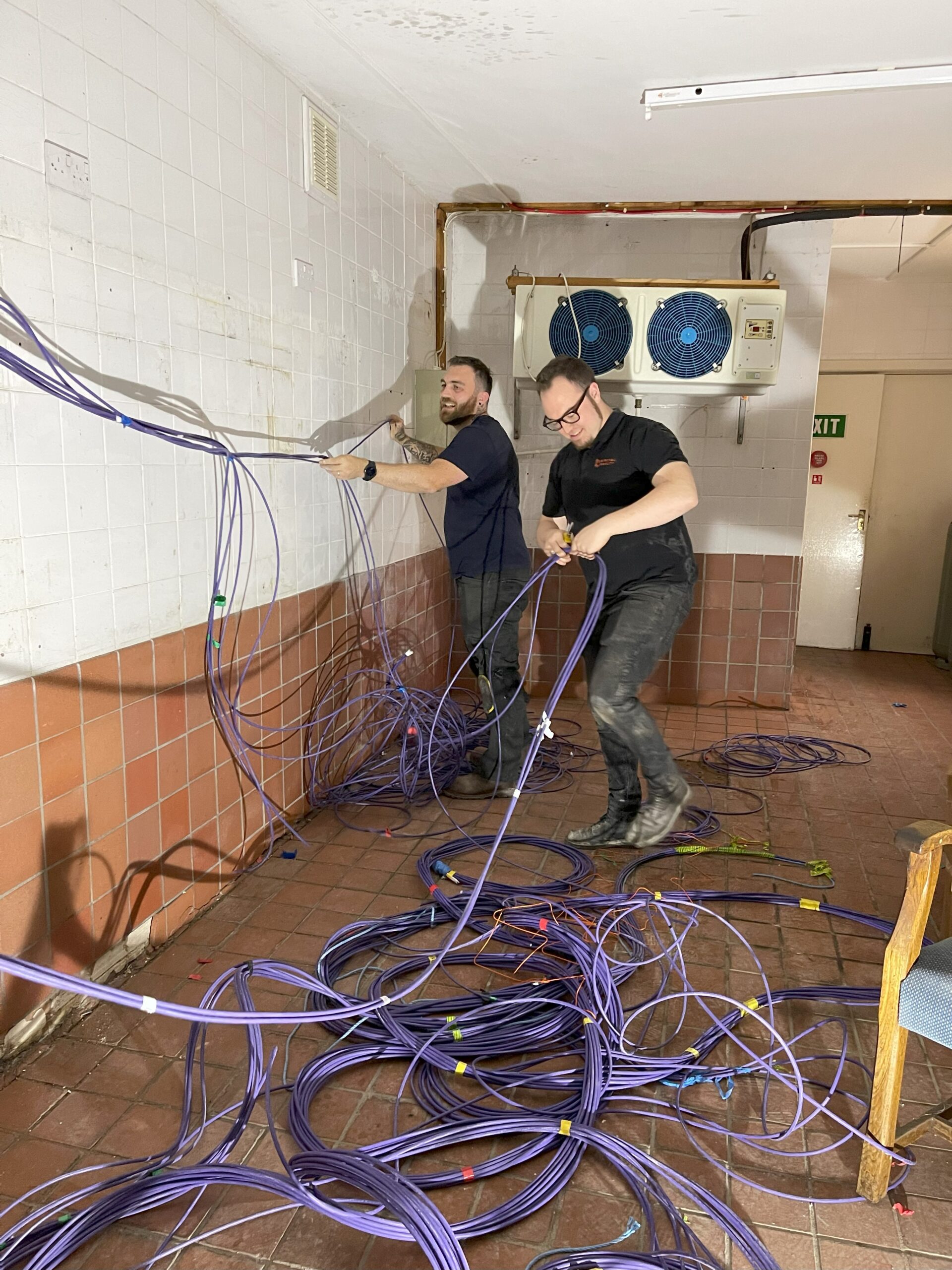 Miles and miles of purple wire... - Lavinia Stamps