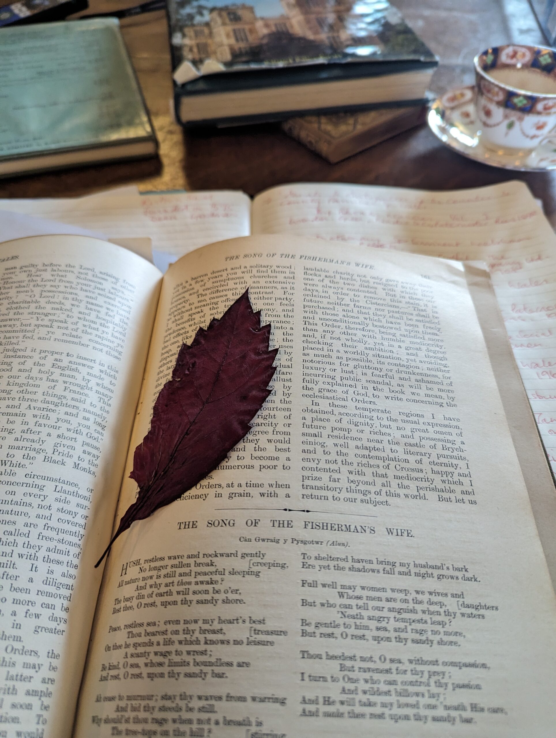 A Conversation with... The History Detective - Joe Saunders - Lavinia ...